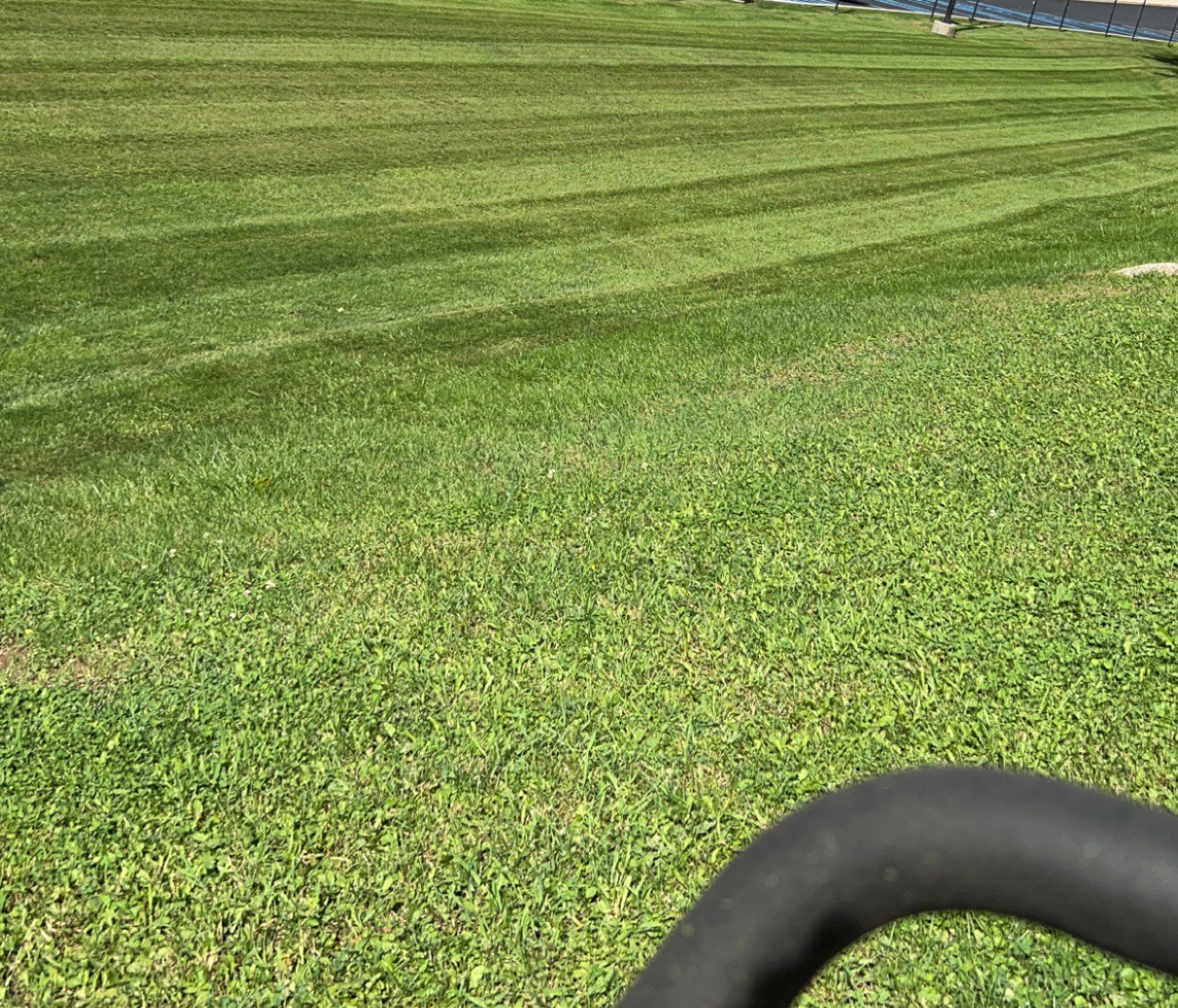 Services - Lawn Care, Mulching, Rock Beds, Trimming, and More!